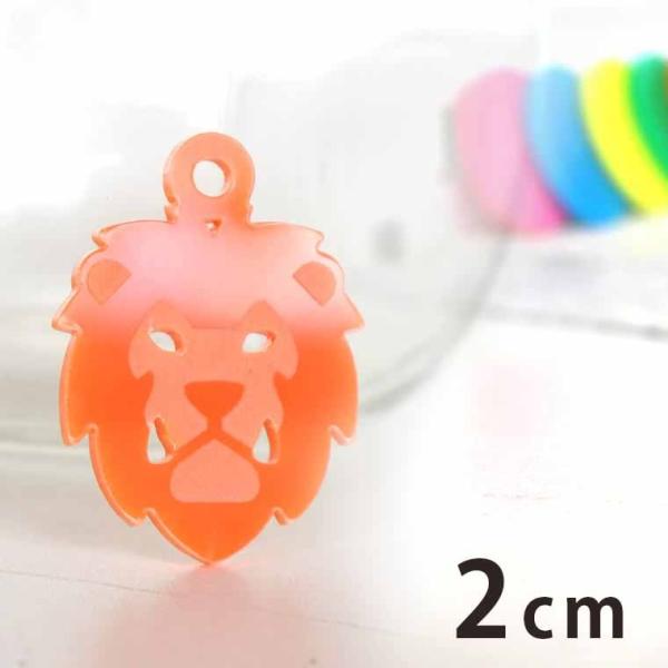 【ご購入前に必ずお読みください】注文確認メール送付後のキャンセルはご遠慮ください。ライオンの可愛いシルエットに穴が開いたパーツです。マルカンとカニカンを付けてチャームにするのもおすすめ。ピアス・ブレスレットなどのアクセサリー作り、レジンにも...