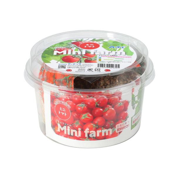 種、土、肥料まで入った基本セット■商品名　Mini farm おうちで育てるミニトマト■サイズ(約)　150×150×100mm■材質　土、PP、追肥、種(ミニトマト)■重量(約)　115g■内容　土、種、肥料、追肥■製造元　株式会社アーテ...