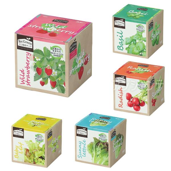【商品説明】 楽しく育てておいしくエコ！再生素材のポリエステル培地を使ったECO栽培キット■商品名　エコ栽培キット Re：Green■サイズ(約)　商品サイズ：W98×D98×H98mm梱包サイズ：98×98×98mm■材質　ポリエステル、...