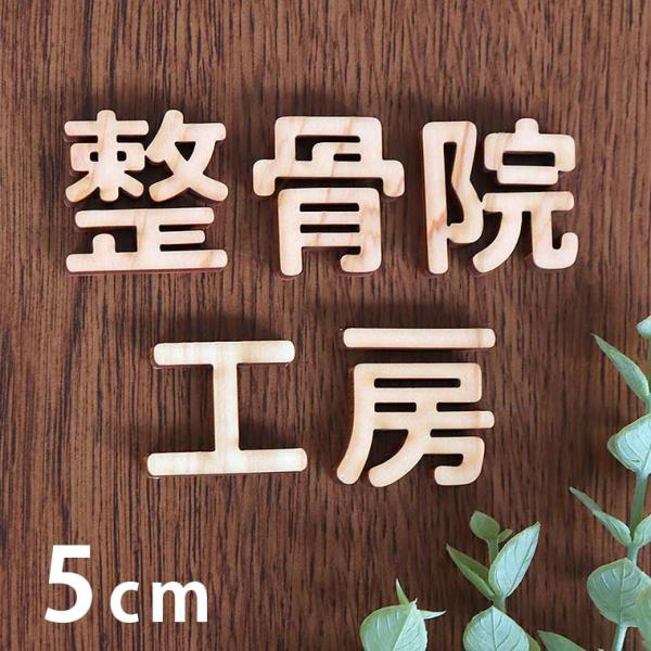 ひらがななどは「 木製切文字 」カテゴリをご覧ください。【ご購入前に必ずお読みください】国産のひのき材をレーザー加工機でカットして作っています。側面が炭化（黒色）し独特の雰囲気があります。商品によっては多少傷がございます。木目、色の濃淡など...