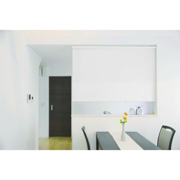 ●商品サイズ：幅180×高さ220cm●生地のホコリも付きにくく、光漏れも防ぐロールスクリーン●スタイリッシュなBOXカバーで生地にホコリが付きにくいロールスクリーン●絡みにくいループ式コードやお子様に安心のおコードクリップ付き●遮光1級程...