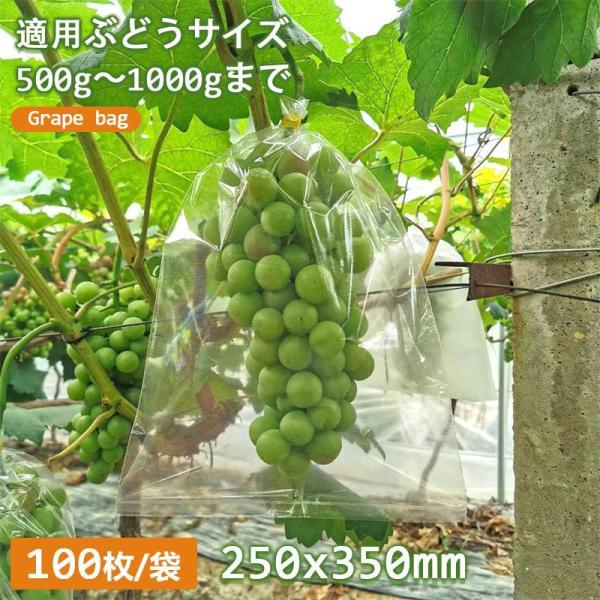 商品詳細:ブドウラップ袋 25x35mm 100枚/袋この果実袋は、特殊な製法により　1m2あたり約175,000個の微孔（約0.13mm）を施したポリプロピレンフィルム果実袋です。透明フィルム＋高密度ポリエチレン（乳白色）使用の為、袋の外...