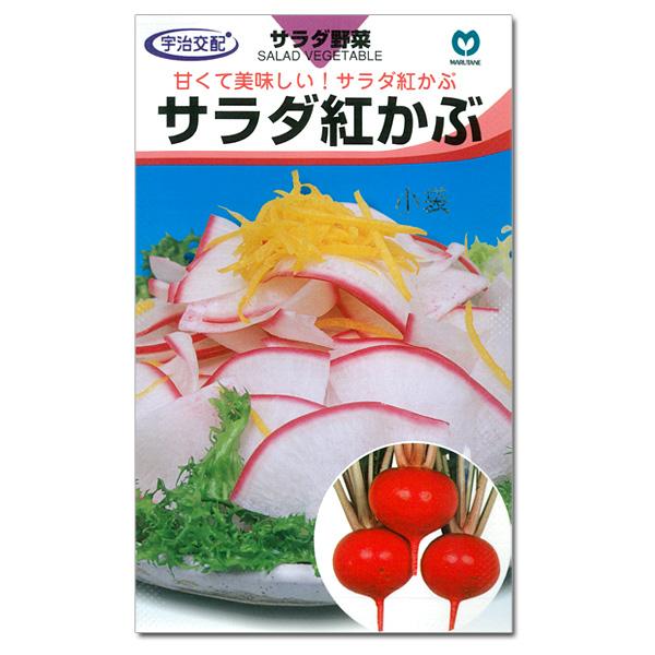 種 タネサラダに最適の紅かぶで肉質はち密で歯切れよく、甘味があり大変美味です。根部は濃紅色となり、球内色は白地に赤味が入りコントラストの美しい品種です。根径5cm位からサラダとして楽しむ事ができ、その後10〜12cmに肥大し、従来通り漬物に...