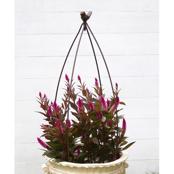 バードケージの形を模したトピアリートレリス。鉢に挿すとすてきです。※詳しい商品説明は下のほうに記載があります