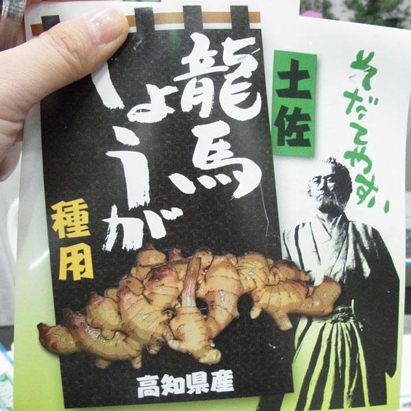 土佐龍馬しょうがは、大満足の大きさ、味と香り、生産量日本一の土佐ショウガ。大しょうがの中でも大きく立派の育つ、強健で育てやすい土佐の大生姜です。辛さはまろやかで、肉質はきめ細かく、風味は爽やかな品種で大人気です。8006入りでこの価格はお買...