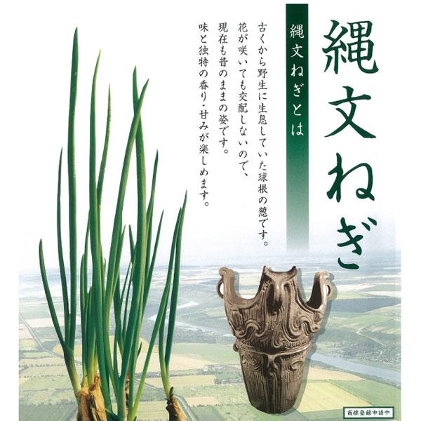 【発売日：2026年08月27日】古くから野生に生息していた球根の葱です。花が咲いても交配しないので、現在も昔のままの姿です。味と独特の香り、甘みが楽しめます。プランター、家庭菜園向き、翌年も栽培できます。※詳しい商品説明は下のほうに記載が...