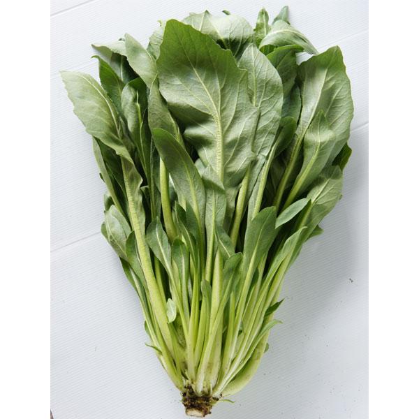 【発売日：2026年10月22日】香味菜（こみな）・チンゲンサイとワイルドルッコラの交配種 長く収穫できる チンゲンサイが母親、ワイルドルッコラが父親のまったく新しい野菜です。温度を維持できれば、周年栽培が可能です。花は、つぼみ菜（なばな）...