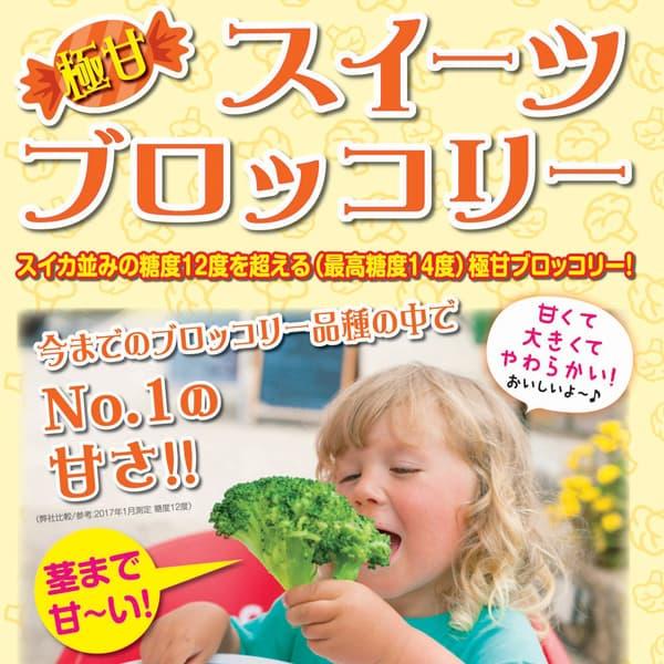 【発売日：2026年08月27日】スイカ並みの糖度12度を超える（最高糖度14度）極甘ブロッコリー。フルーツ並みの糖度で料理の主役になれるブロッコリーです。※詳しい商品説明は下のほうに記載があります