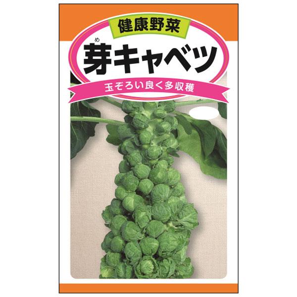 種　タネ　メキャベツはシチュー、ポトフなどの煮込み料理に最適な野菜。下茹でしてから和え物、バター炒め、サラダなどにしても美味しいです。独特な苦みがあり生で食べるのは不向き。晩生品種のため、冬蒔きはできません。収穫には４カ月ほどかかります※詳...