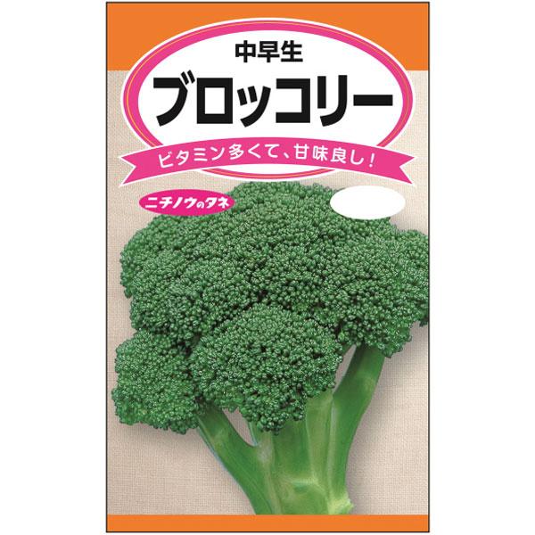 肥大性がよい中早生種で、比較的草丈がコンパクトで収穫が容易です。濃緑のドーム型花蕾は締まりがよく、甘みが強いです。※詳しい商品説明は下のほうに記載があります