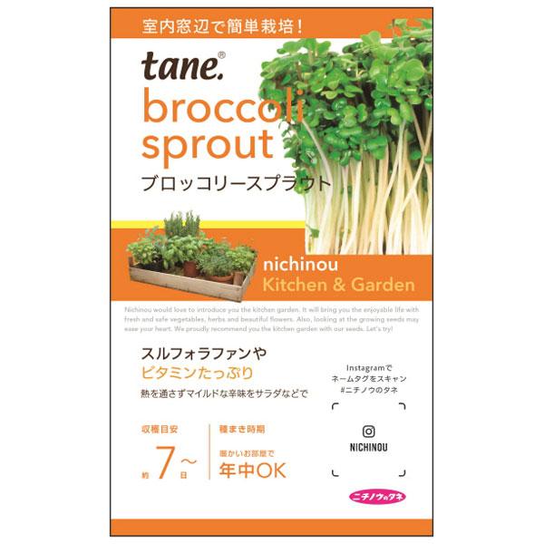 スプラウトの種 種　タネ　深さ5〜10cmの容器で栽培できます。土が必要なく、種蒔きから10日程で収穫できます。衛生面から小まめに水換えをしてください。※詳しい商品説明は下のほうに記載があります