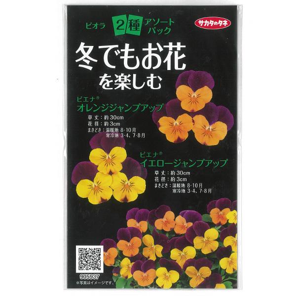 秋まき（寒地は春） 冬でもお花を楽しむ 種　タネ　★有効期限切れのため特価・若干発芽率は落ちますが利用可能です★オレンジとパープルのコントラストのビオラ「ピエナ オレンジジャンプアップ」と、濃い黄色とパープルのコントラストのビオラ「ピエナ ...