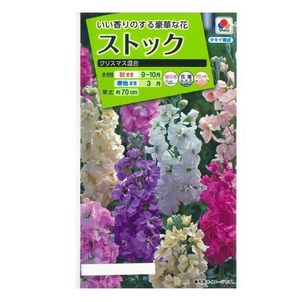暖地では8月上旬まきで年内から開花する、極早生1本立ち高性大輪種です。一重と八重が半々に出る性質があります。※混合種子は品種により発芽や初期生育に差が出ることがあり、生育の早いもの、旺盛なもののみを育てると、花色が偏る場合があります。※詳し...