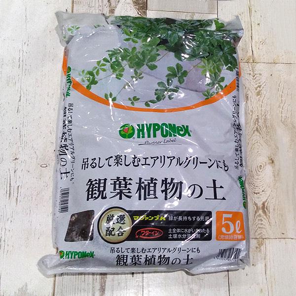 軽いのでハンギングやリース、吊るして楽しむエアリアルグリーンに適した培養土です。緑が長持ちする元肥マグァンプKと土全体に水が行きわたる土壌水分浸透剤ワターインを配合しています。※詳しい商品説明は下のほうに記載があります