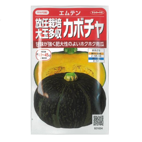 種　タネ　放任栽培でもたくさん実が付きやすい！草姿は強く、低温伸長性、肥大性のよい大玉多収品種。果実は2kg前後の偏円形。果肉は厚く鮮やかな濃黄色。肉質はやや粉質でホクホクしていて、甘味は強くて美味しいです。※詳しい商品説明は下のほうに記載...