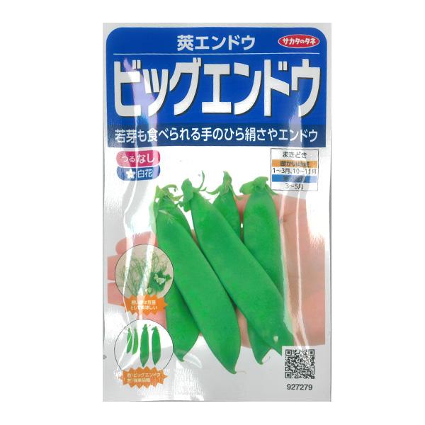 春まき、秋まき 種　タネ　ビッグえんどうは若芽も食べられる手のひらサイズの絹さやエンドウです。歯切れのよい、甘味たっぷりの莢（さや）がたくさん収穫できます。若いツル先は香りの良い豆苗として美味しく食べられます。※詳しい商品説明は下のほうに記...