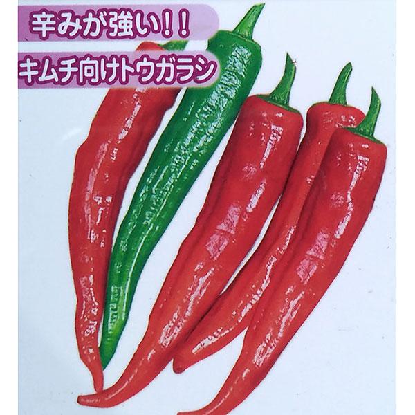 辛さを味わうだけでなく、様々な形のトウガラシは観賞用としても楽しめます。辛みのもとになるカプサイシンは、脂肪燃焼促進や体を温めてくれる効果があると言われ、世のダイエットしたい人達の味方です。韓国とうがらしはキムチに最適！青い芽は炒め物に。※...