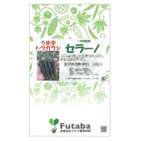 種　タネ　セラーノは日本ではあまり聞きなれない唐辛子ですが、メキシコでは馴染み深い品種でピクルスやサルサ、ワカモレなどメキシコ料理全般に用いられます。※詳しい商品説明は下のほうに記載があります