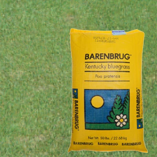 耐暑性・耐陰性に優れた芝 葉色はやや淡い緑色で、葉幅が細く緻密なターフを形成します。寒地型の西洋芝ですが耐暑性に非常に優れ、盛夏時の密度・被覆率が高く、抜群の越夏性があります。播種後の初期生育が早く、春先の緑化も良好です。各種耐病性に優れ、...