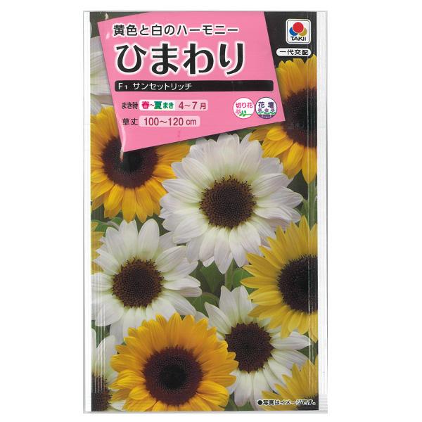 種　タネ　黒芯の3色ミックスです。オレンジ、レモン、ホワイトの調和が美しく映えます。茎がしっかりしているので切り花にも使えます。※詳しい商品説明は下のほうに記載があります