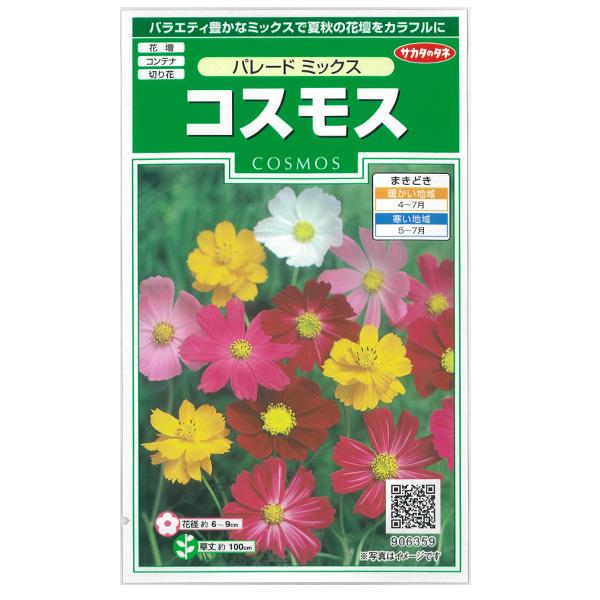 種　タネ　一般的なコスモスをはじめ、黄花コスモスも混合したカラフルなコスモスミックスです。花色・花形・花の大きさなど様々で観賞期間も長く、霜が降りるころまで咲き続けます。※詳しい商品説明は下のほうに記載があります