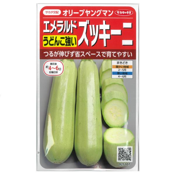 種　タネ　生育旺盛で簡単に作れる、つるが伸びないズッキーニ。場所を取らず、強健でつくりやすいので家庭菜園向きです。果実は淡緑色の円筒形で、次々と収穫出来ます。天ぷら・煮物、油炒めのほか、欧風料理ラタトゥーユなどに利用できます。※詳しい商品説...