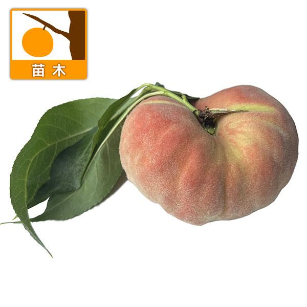 西遊記に登場するバントウ。孫悟空が天界で担当していた職務が天界の桃園・蟠桃園の管理です。その桃園には3600本の桃の木があり、手前の1200本は3000年に一度実をつけ、それを食べると仙人になれ、真ん中の1200本は6000年に一度実をつけ...