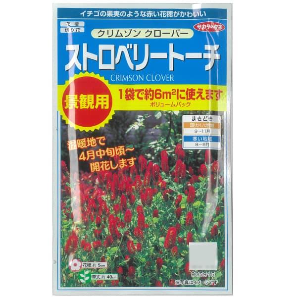 イチゴの果実のような赤い花穂が可愛らしい！クローバーの仲間で耐寒性はとても強く、株張り約30cm草丈約40cmになります。八重桜が散り始めるころ、真っ赤なイチゴの果実に似た花穂を数多く枝先につけます。※詳しい商品説明は下のほうに記載があります