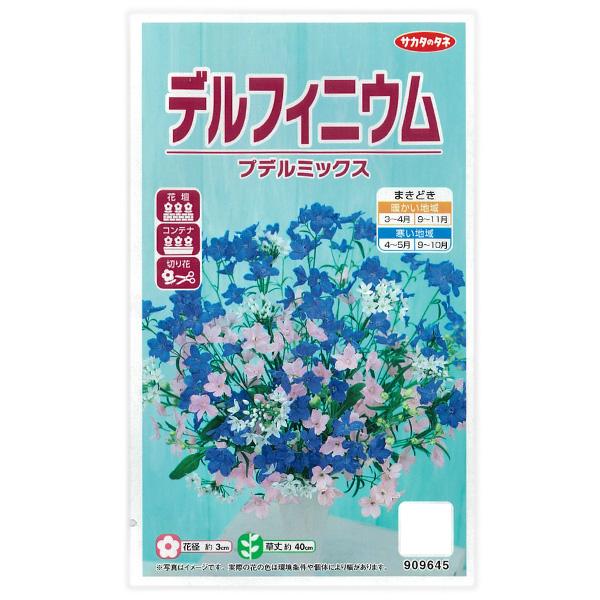 種　タネ　早生で栽培しやすく、シネンシスタイプでは草丈が伸びるので、花束やアレンジメントなどの切り花にも使いやすいです。※詳しい商品説明は下のほうに記載があります