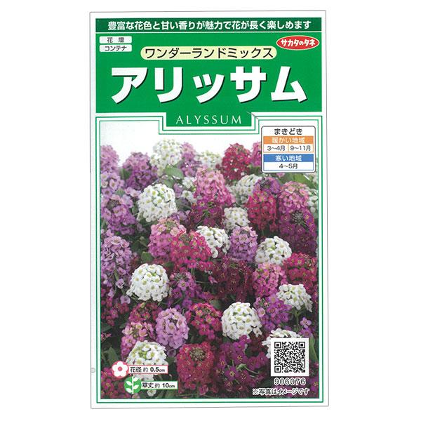 冬から春にかけての寄せ植えや花壇の縁取りには欠かせないアリッサム。小さな花が集まって株一面が花で埋もれる草姿と甘い香りが魅力です。ワンダーランドは、早生タイプでコンパクトな草姿のシリーズ。極端な暑さ寒さは苦手ですが、開花期間が長く花壇の縁取...