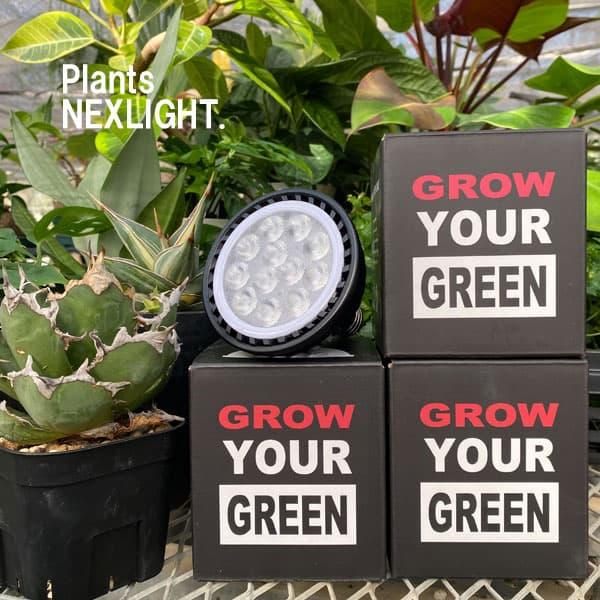 これからの時期におすすめ！農業LED・光環境の研究をリードし、数多くのプロジェクトを手掛ける「豊川温室」。西日本随一の植物総合卸として、プロから頼られる「高島屋植物園」。この2社が共同で開発した植物専用LEDライト、それが「PlantsNE...