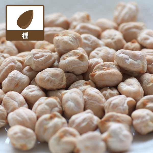 スペイン語でガルパンソという名前の豆で、豆の形がヒヨコに似ているので日本ではヒヨコマメと呼ばれています。日本には第二次世界大戦後に渡来したようです。主な産地はインドや中東、地中海沿岸で栽培されています。インドではヒヨコマメをカレーに入れて豆...