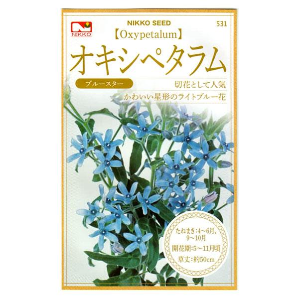種　タネ　かわいらしい星形のライトブルーの花で、ブルースターと呼ばれます。草丈は50cm程度で、耐暑性が強く、初夏から秋まで咲き続けます。花壇、コンテナの他、切花として楽しめます。※詳しい商品説明は下のほうに記載があります