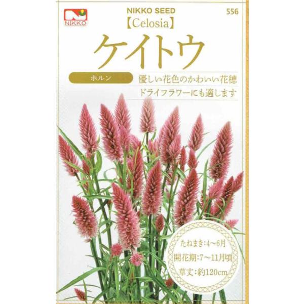 春まき・猫のしっぽのような花・ドライフラワーにも・草丈約120cm 優しいピンク色のかわいらしい花穂で、花穂は8~10cmになります。株は直立し、茎はかたく空に向かって多くの枝がスプレー状に伸び1m以上になります。寄せ植えやアレンジ用切り花...