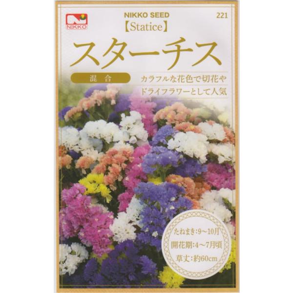 白・黄・紫・ブルー・ピンクなどカラフルな花色で、日持ちがよく切花やドライフラワーとして人気です。花に見えるところは苞と呼ばれ、本当の花は中心の部分です。草丈は約60cmで、株元から多くの茎を伸ばします。※詳しい商品説明は下のほうに記載があります