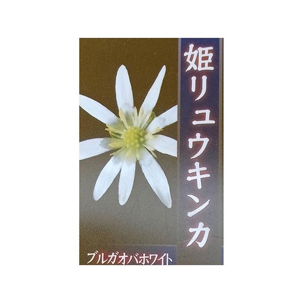 ※詳しい商品説明は下のほうに記載があります