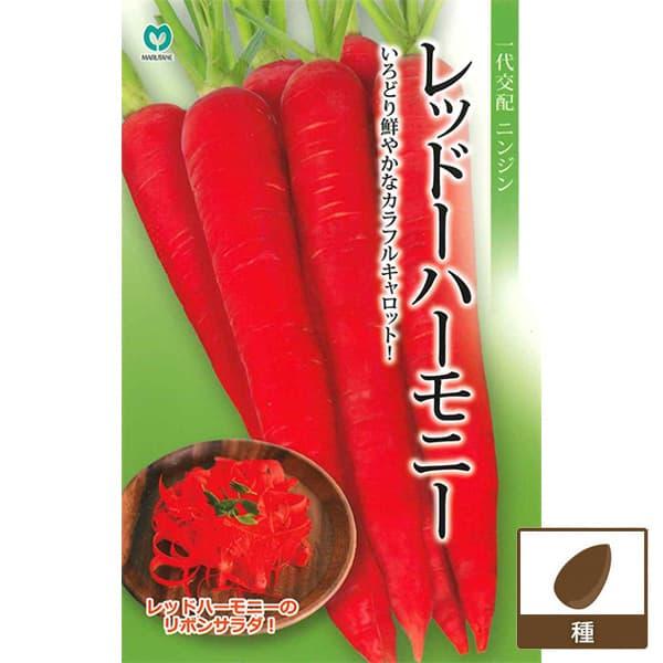 人参スティック・サラダに 丸種 種 タネいろどり鮮やかなカラフルキャロットです。播種後120日前後で収穫する春・夏まき兼用の人参です。根長は20〜25cm、直径は太いと所で3〜4cmとなります。根色は濃い赤色で、内部まで美しい赤色となります...