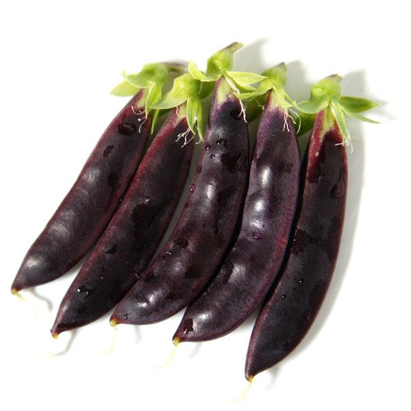 【発売日：2026年10月22日】鮮やかな紫色のスナップエンンドウ。やわらかく肉厚で甘みも強く、サラダの彩りや炒め物にしてもおいしいえんとうです。莢の紫色は茹でると色が少し薄くなりますが、無紫色は残ります。調理法などを工夫して下さい。※詳し...