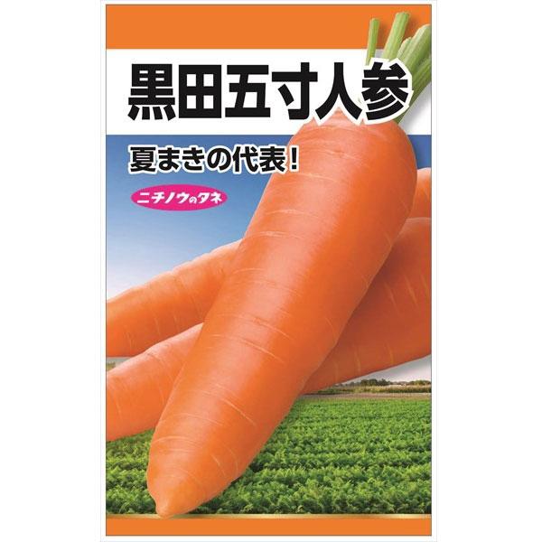 種　タネ　春蒔き・夏蒔きができる五寸にんじん。暑さに強いので特に夏蒔き向き！※詳しい商品説明は下のほうに記載があります