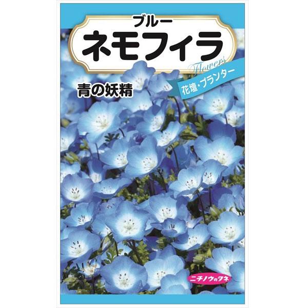 種　タネ　密植えで青い絨毯のような見た目になる。一輪一輪がかわいいネモフィラです。※詳しい商品説明は下のほうに記載があります