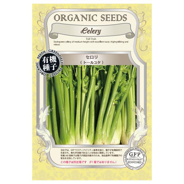 一般的なセロリと比較して、やや高温多湿に強い品種。繊維質が強すぎず食べやすいので、生でサラダにピッタリな品種です。※詳しい商品説明は下のほうに記載があります