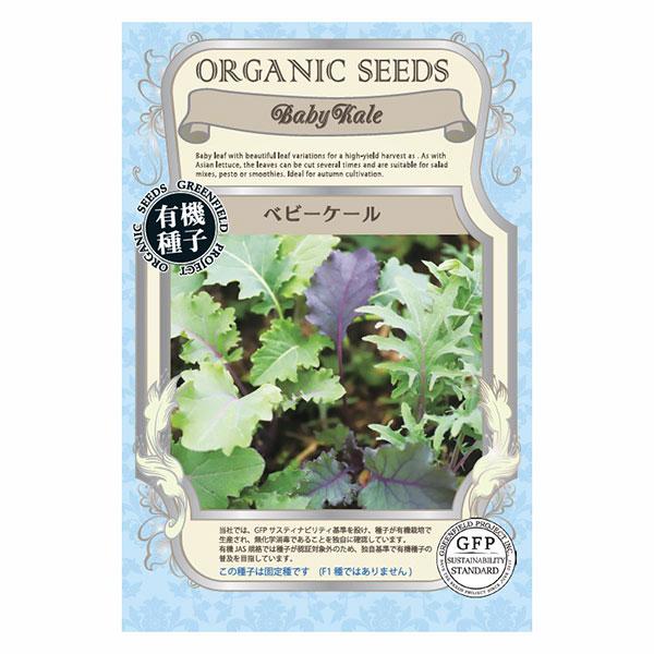 種　タネ　ケール独特の香りとほのかな甘みが特徴の葉野菜。葉の形状がかわいく、味わいもケールの風味が楽しめるのでサラダにおすすめ。収穫開始期の目安は種まきから1ヶ月くらいです。※詳しい商品説明は下のほうに記載があります