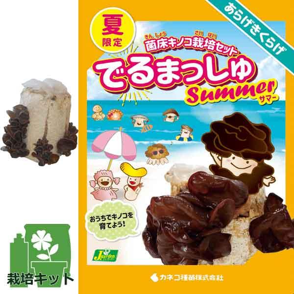 家庭用のきのこ栽培キット。育てて食べる究極の楽しみの栽培セットです。※詳しい商品説明は下のほうに記載があります