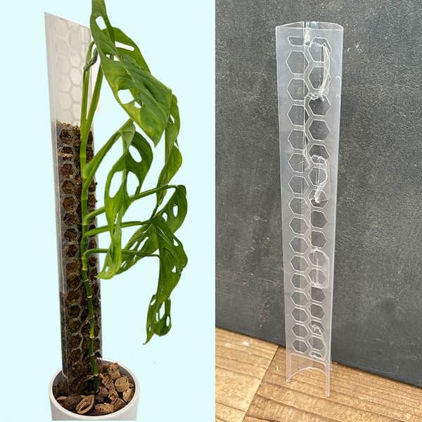 半円形の容器の中にミズゴケを詰めて使用する支柱です。ポトスなど気根を伸ばして登るタイプ、着生ランやシダ類の育成におすすめです。お届け後、画像のような支柱に組み立てて使用します。外側には傷防止用に透明フィルムが張られているので剥がしてご使用く...