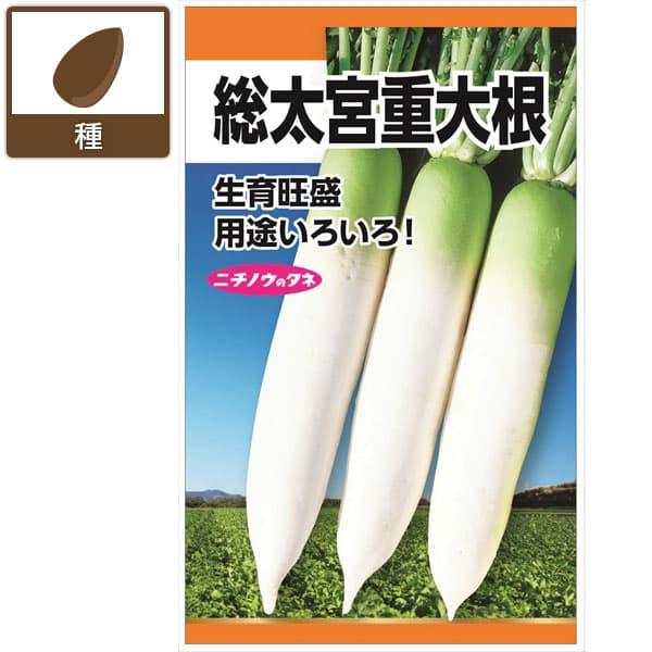 種　タネ　煮物・漬物・切り干しなどいろいろな用途に向く総太り在来種。生育旺盛です。※詳しい商品説明は下のほうに記載があります