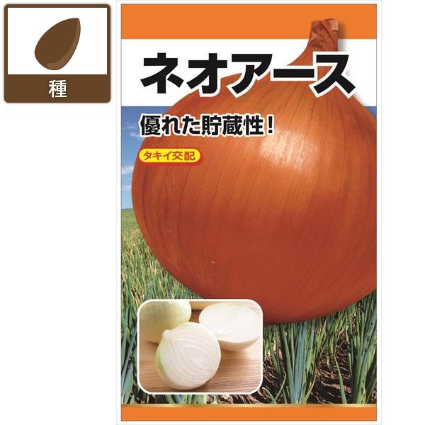 種　タネ　貯蔵たまねぎの決定版。6月収穫して翌年3月まで貯蔵可能です。※詳しい商品説明は下のほうに記載があります