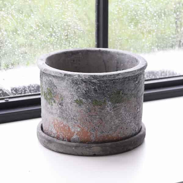 アンティークテイストの鉢です。厚みのあるざっくりとした質感で植物の美しさを引き立てます。ソーサー付き。インテリアでの観葉植物・多肉植物・コーデックスなどの栽培に適しています。※詳しい商品説明は下のほうに記載があります