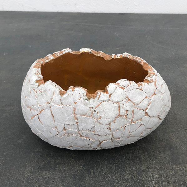 リアリティのあるたまご型のポットです。多肉植物の寄せ植えにおすすめです。※詳しい商品説明は下のほうに記載があります