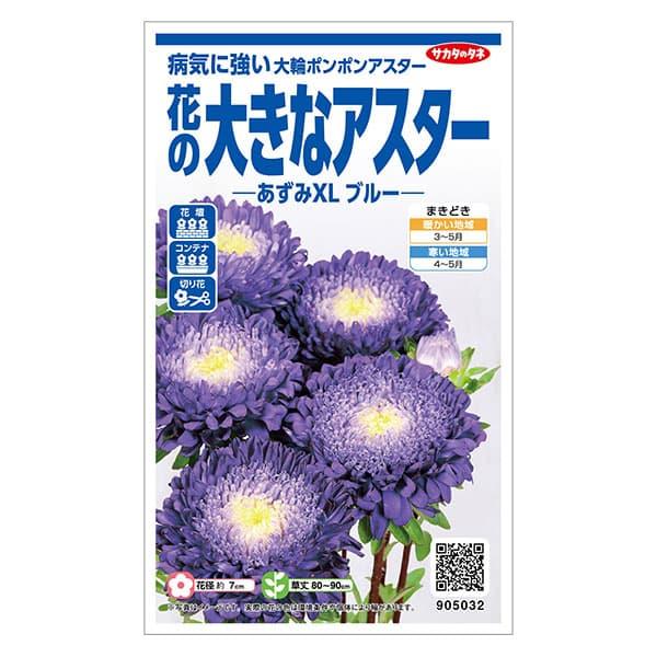 病気に強い大型ポンポン咲きアスター「あずみXL」は、咲き進むと花がこんもりとした半球状になり、花径7cmになる大輪品種。従来品種（あずみ）より草丈も高いです。真夏の栽培で問題となるフザリウムの耐病性品種で、露地での安定した栽培が可能。花壇や...