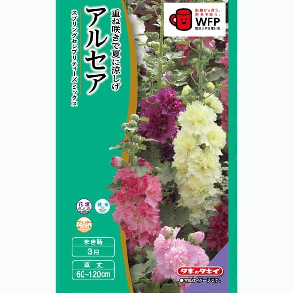 種　タネ　従来のアルセア（タチアオイ）に比べ、丈が低く株姿がブッシュ状となるわい性タイプ。半八重-八重の大輪で、アネモネ咲きでフリルつきの色とりどりの花を咲かせます。ボーダー花壇の中央やコンテナに最適です。※一重が出現することがあります。※...